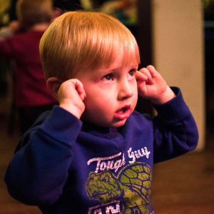 Booking Info | Purple Fiddle